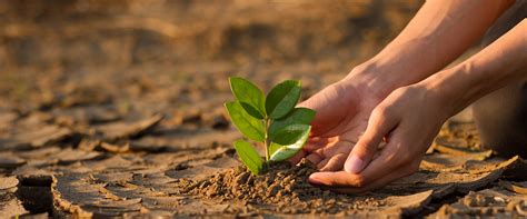 Global Unity On Climate Action Grant Thornton Bharat