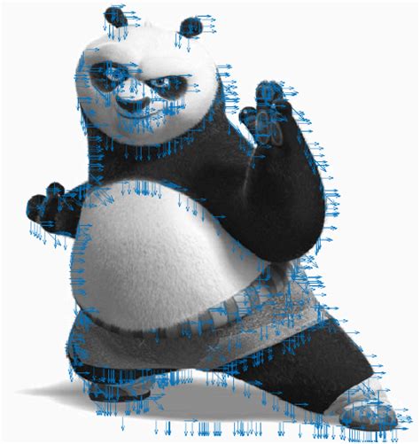 Plotting A Gradient Vector Field Over The Edges In Octave Stack Overflow