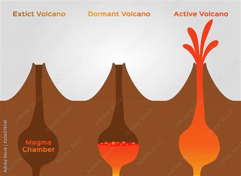 Volcano Stage Infographic Extinct Dormant And Active Volcano Vector
