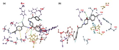 Enhancement Of Haloperidol Binding Affinity To Dopamine Receptor Via
