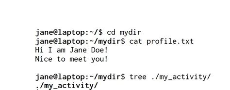 Netlify Quick Deploy Seems To Have Theme Problems · Issue 37 · Yukurohugo Theme Shell · Github