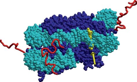 Color Online Nucleosome Structure Pdb Entry 1kx5 Histone Core And Download Scientific