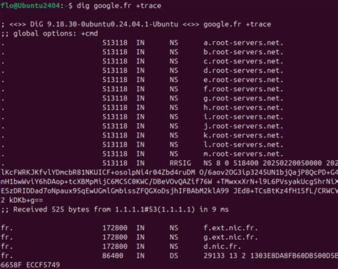 Linux commandes pour gérer et diagnostiquer le réseau