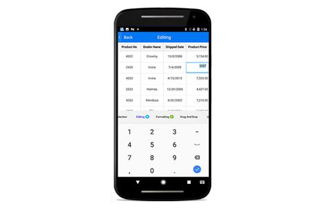 Column Types Sfdatagrid Xamarinandroid Syncfusion