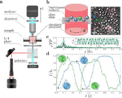 Figure 1 From Hydrodynamic Spin Orbit Coupling In Asynchronous