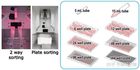 一文通 单细胞流式检测技术从六个方面进行详解 知乎