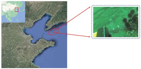 Underwater Object Detection Based On Improved Efficientdet