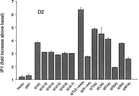 Functional Coupling Of The M2 Muscarinic Receptor To Mutant Q Subunits