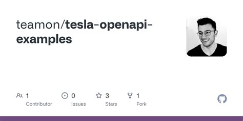 Github Teamontesla Openapi Examples