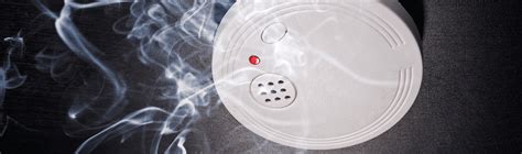 Startpage Reichelt Magazin