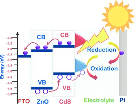 Schematic Representation Of Electronhole Transport In Cds Decorated