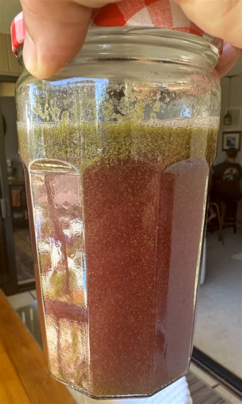 Is It Ash Is It Oil No Its Trichodesmium Maui Nui Marine Resource Council