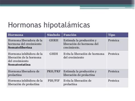 Funciones De Las Hormonas Del Hipotálamo Resumen Fácil