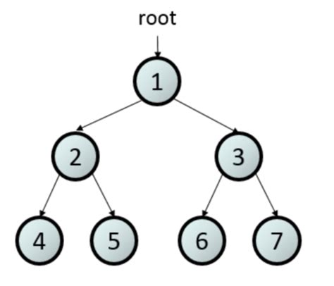 Chapter 6 Flashcards Quizlet