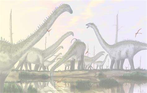 Phylogeny Indicating High Level Relationships Between Tetrapod Groups