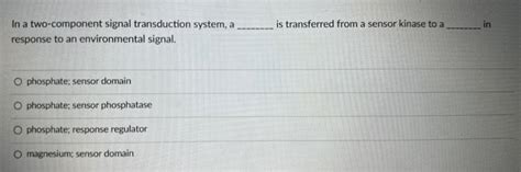 Solved The Difference Between Generalized And Specialized