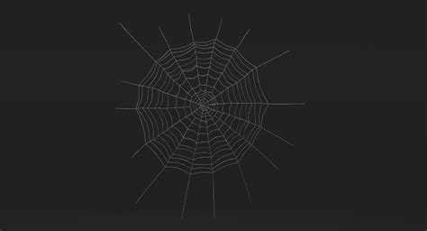 3d Spider Web Model Turbosquid 1344251