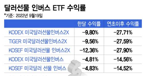 환율 내리겠지 곱버스 탔다가 12강달러에 우는 개미들