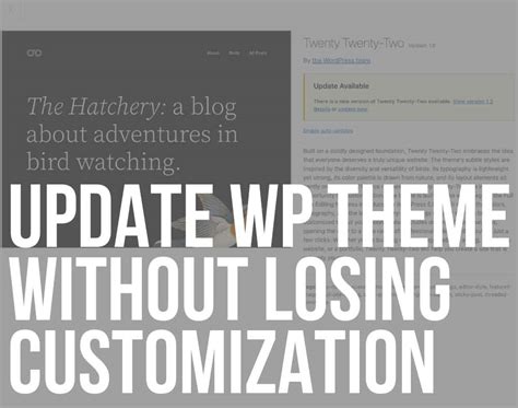 How To Update Wordpress Theme Without Losing Customization