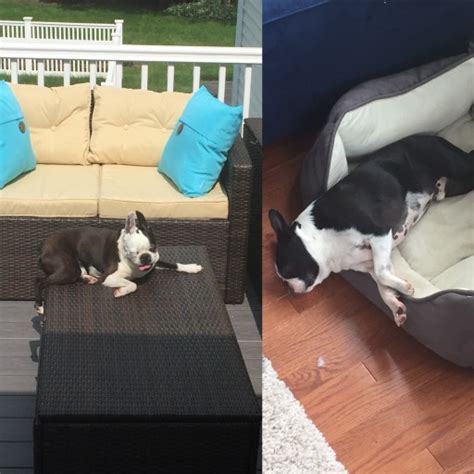 How Does Pa Consulting And Capgemini Compare To Tier2 Big4 Boutique In