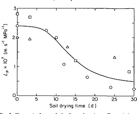 Mandibular Right First Molar Distal Hemisection Semantic Scholar