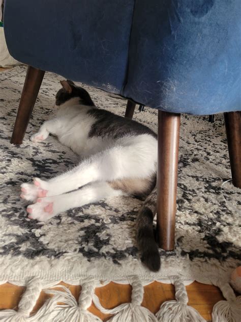 Oooo Big Stretch R Straightenedfeetsies