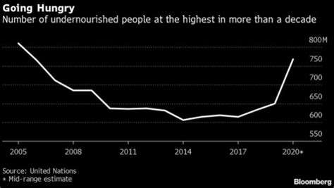 The Fruit Of Wokeism And Bad Capital Allocation Calvin F