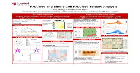 Download Pdf Rna Seq And Single Cell Rna Seq Tertiary Analysismed