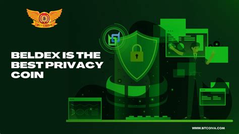 Beldex The Best Privacy Coin Everything You Must Know