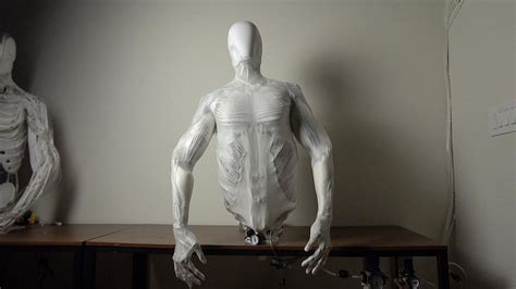Meet Protoclone The Worlds First Human Like Robot With Synthetic Muscles And Skeleton