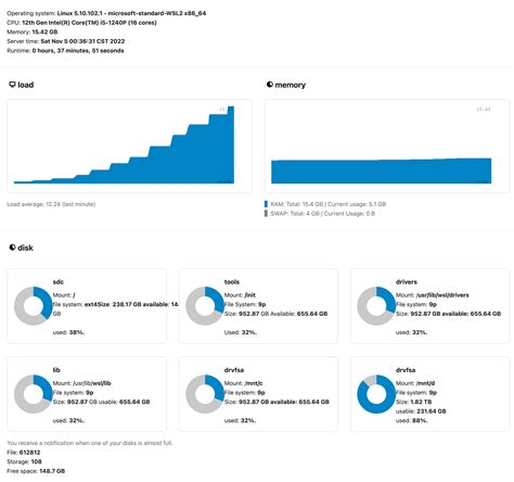 Bug Windows11wsl2 Server High Cpuanddisk Usage After Seeking