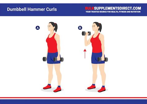 Bicep Tricep Superset Get Bigger And Stronger Now