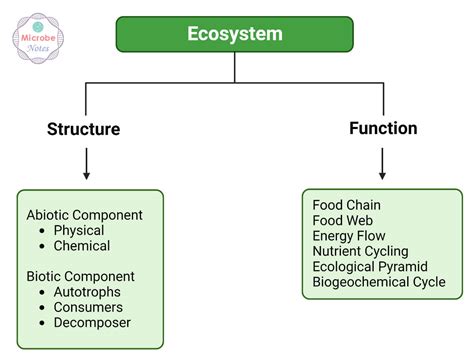 Ecosystem Definition Structure Factors Types Functions