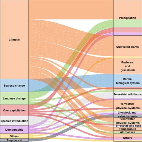 Alluvial Plot Representing The Connections Between Drivers Citations