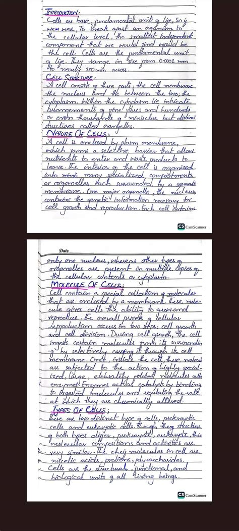 Ms Word Powerpoint Ms Excel And Handwritten Assignments Content