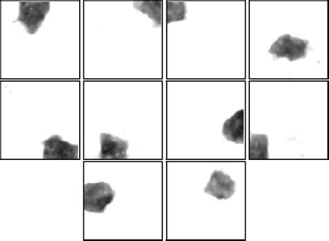 Figure 1 From Deep Supervised Quantization By Self Organizing Map