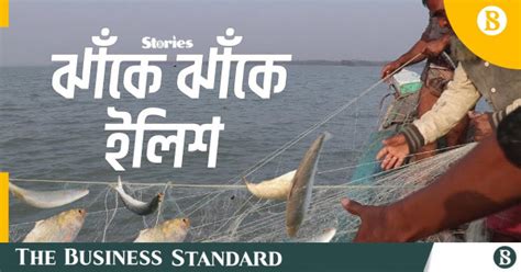 Fishermen Heading To The Sea Hoping For Hilsa After The Ban The