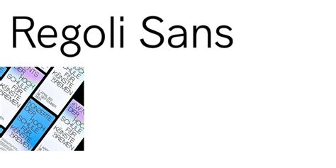 Regoli Sans In Use Fonts In Use