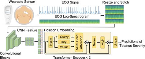 Figure 4 From Improving Classification Of Tetanus Severity For Patients In Low Middle Income
