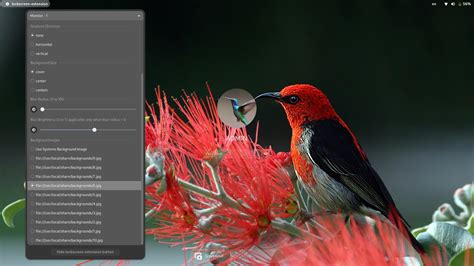 Lockscreen Extension GNOME Shell Extensions