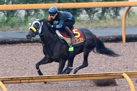 【秋華賞1週前追い】ド派手に動いたコナコーストがcwコースで猛時計 競馬ニュース Netkeiba