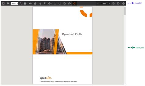 Dynamsoft Document Viewer User Interface Customize Layout