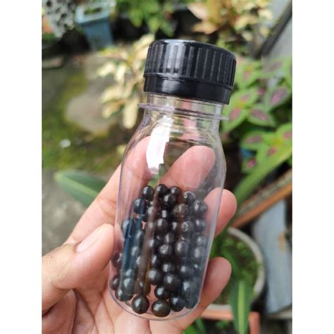 Jual Pil Jamu Kembali Perawan Isi 50 Biji Shopee Indonesia