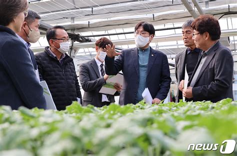 조재호 농촌진흥청장 공정육묘 생산 현장 방문