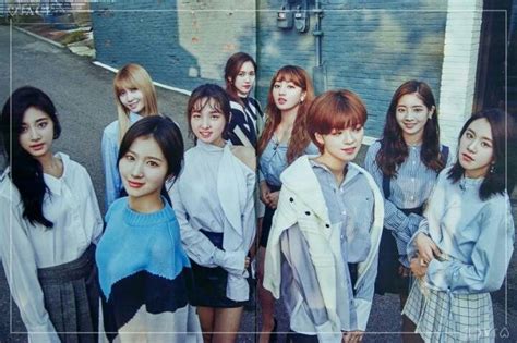트와이스 맴버들끼리 설문조사 인스티즈 instiz 인티포털