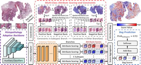 240400351 Rethinking Attention Based Multiple Instance Learning For Whole Slide Pathological