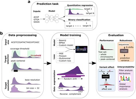 Evaluating Deep Learning For Predicting Epigenomic Profiles Ziqi Amber Tang