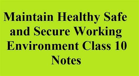 Maintain Healthy Safe And Secure Working Environment Class 10 Notes Cbse Skill Education