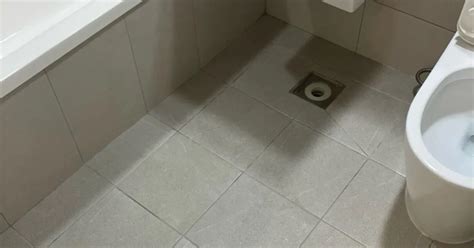 깨끗하게 잘 청소해주셔서 좋았습니다 설명도 친절했구요 구석구석 먼지도 제거되고 스팀 청소도 잘 된 것 같아요 화장실 청소도 만족해요 전체적으로 추천 숨고 숨은고수