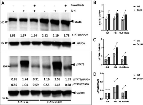 Autosomal Dominant Stat6 Gain Of Function Causes Severe Atopy